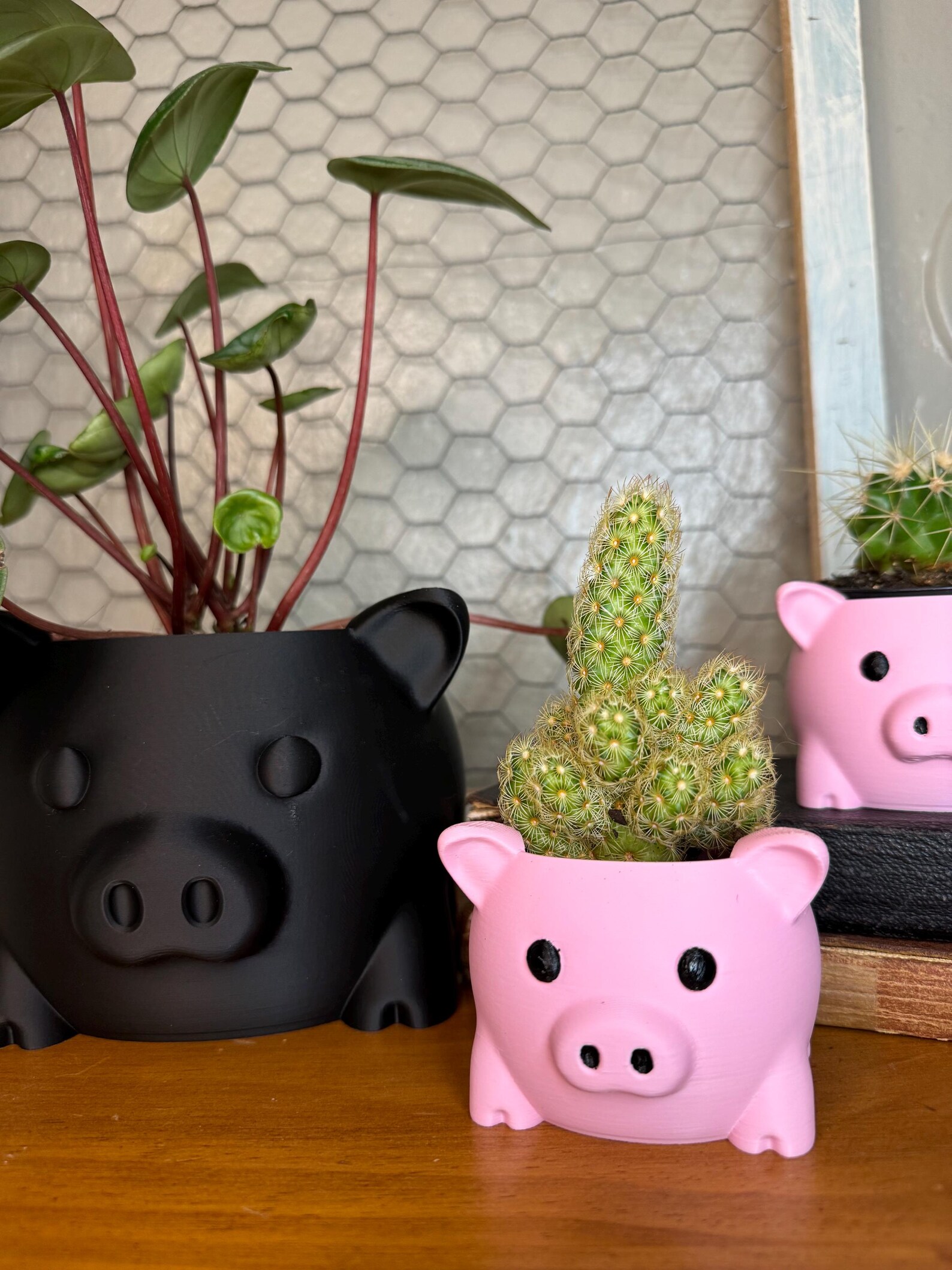 Pig Planter, 3d Printed Pot, Cute Planter, Fun Farm Animal Pot, Pig Pot ...