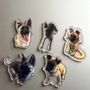 Custom Pet Acrylic Magnet From Real Photo, Custom Pet Magnets, Cat ...