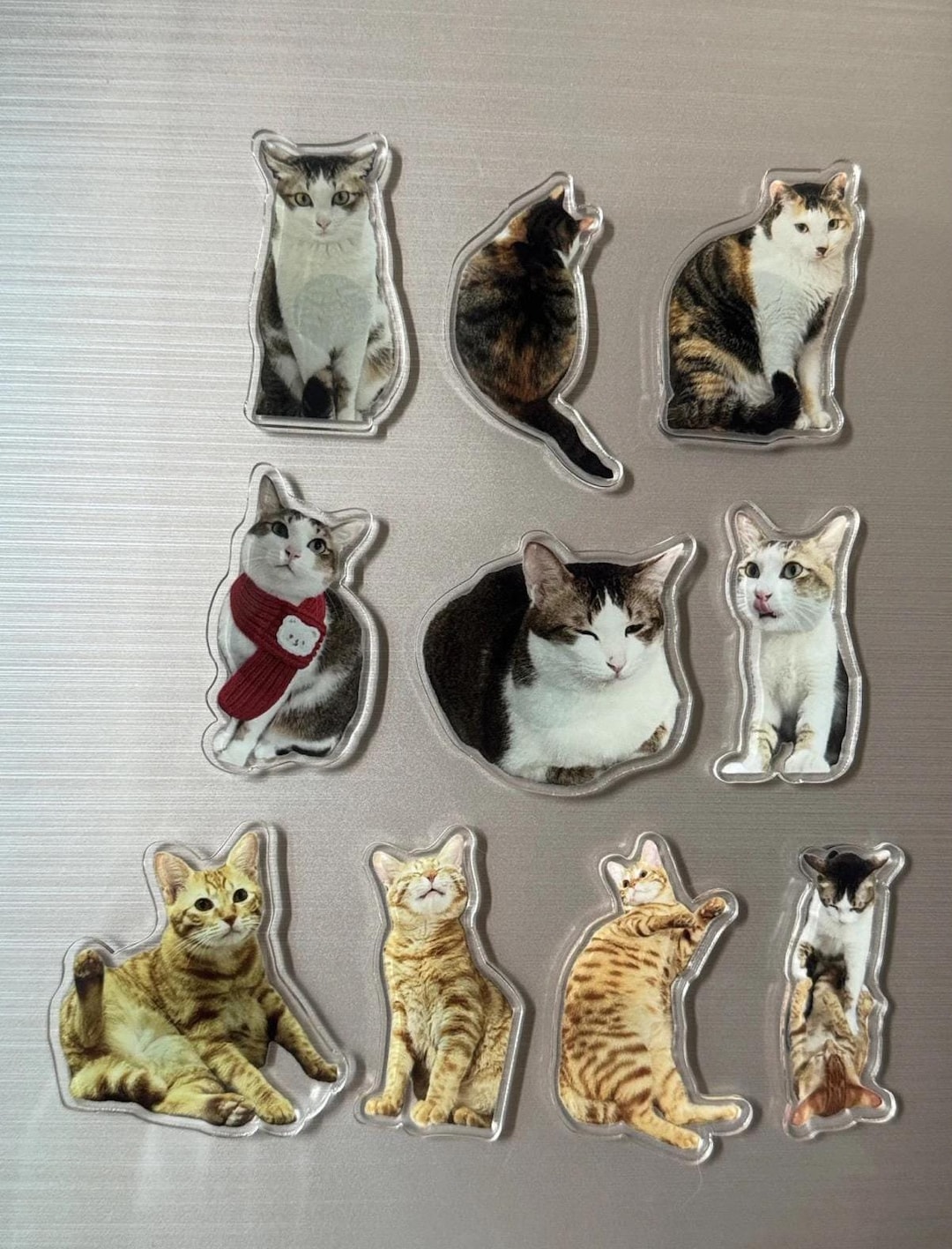 Custom Pet Acrylic Magnet From Real Photo, Custom Pet Magnets, Cat ...