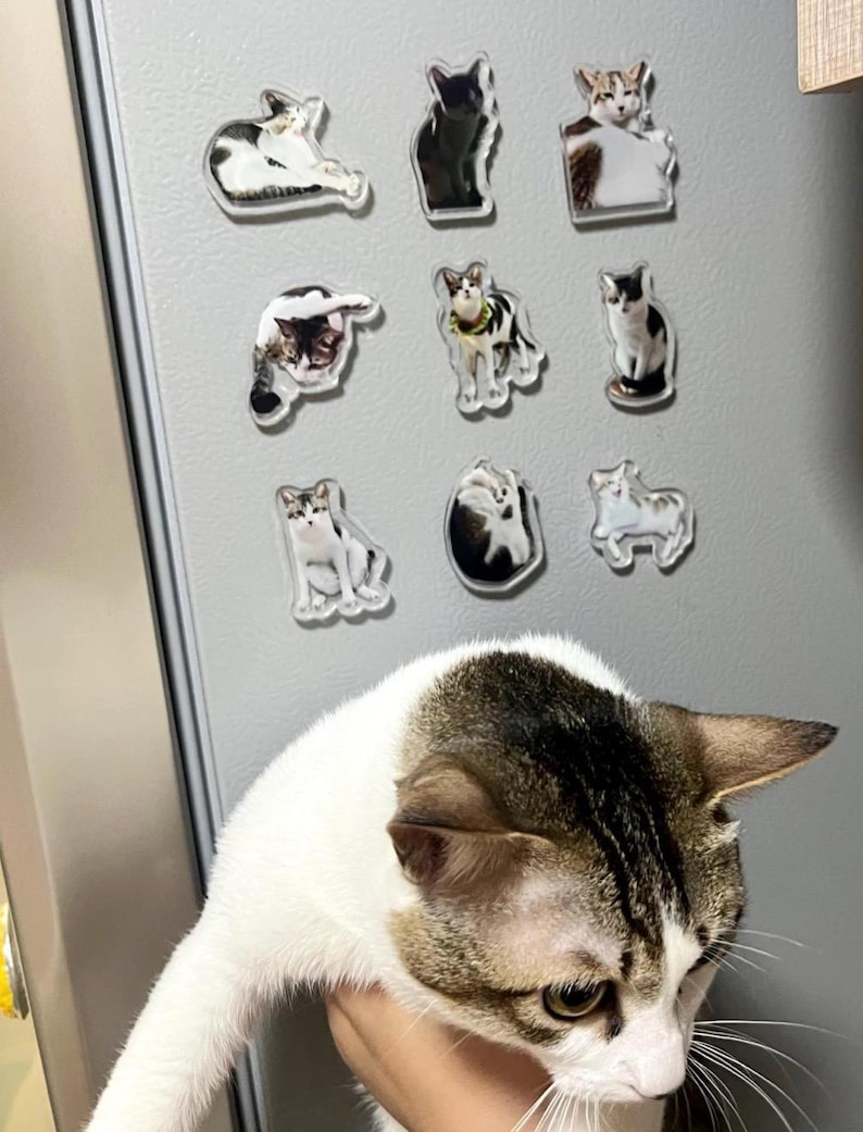 Custom Pet Acrylic Magnet From Real Photo, Custom Pet Magnets, Cat ...