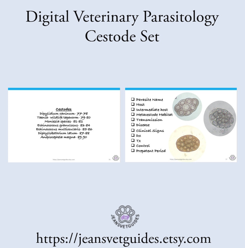 DIGITAL Veterinary Parasitology Cestode Set - Etsy