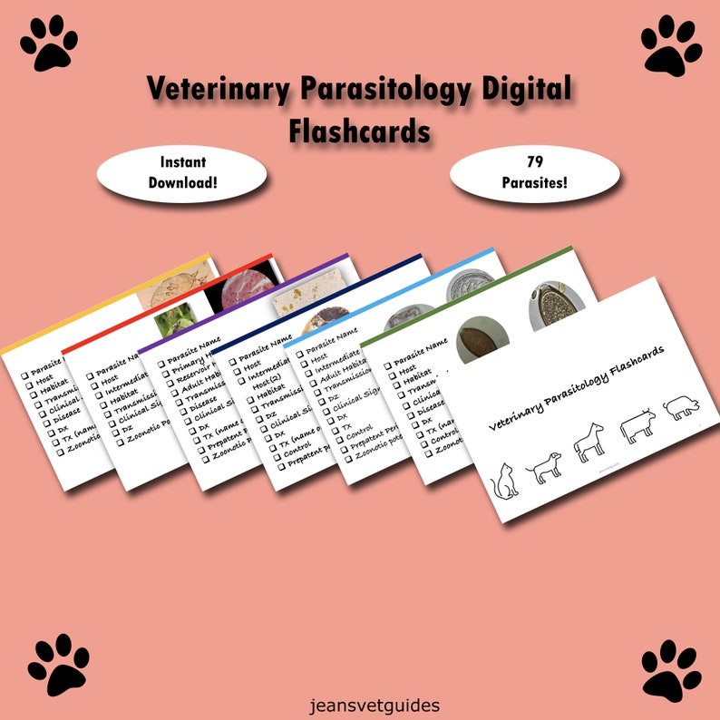 Veterinary Parasitology Flashcards BUNDLE - Etsy