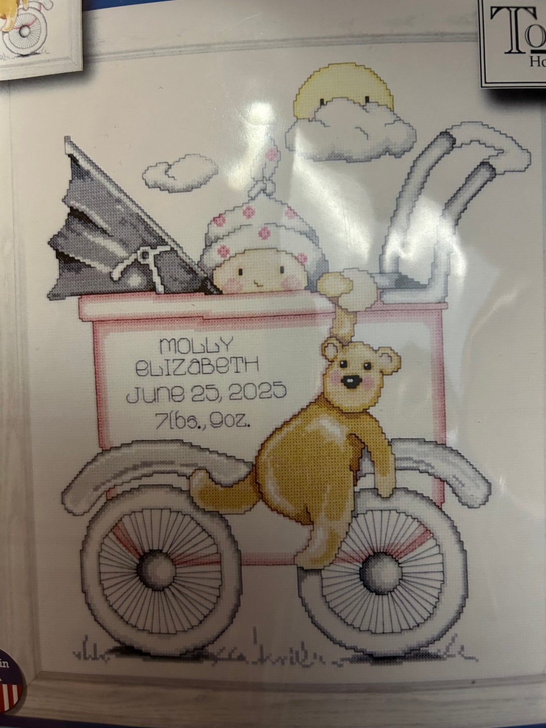 Baby Buggy Girl - Birth Record Counted Cross Stitch - Kit - Etsy