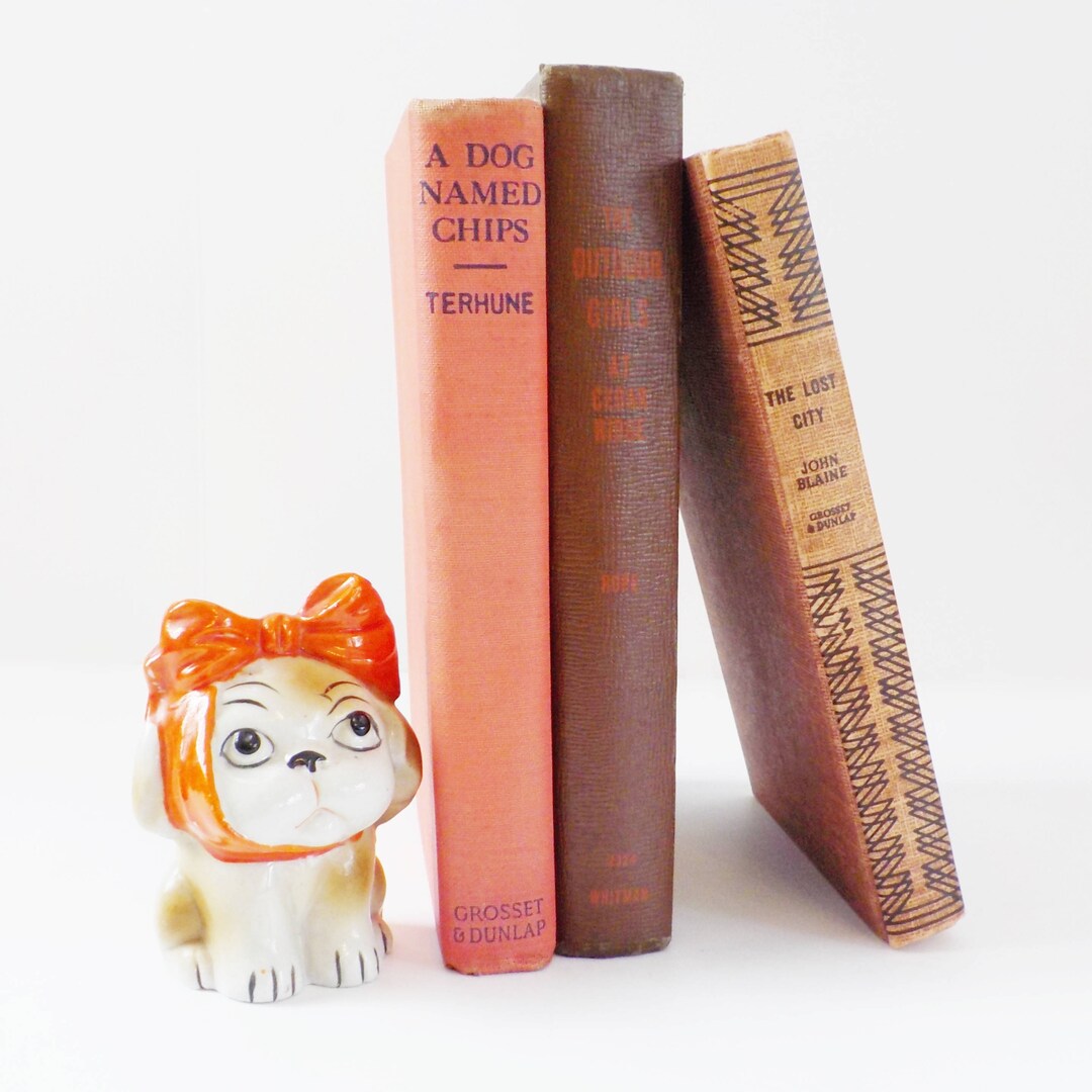 Vintage Decorator Book Collection Young Reader Collection Set of 3 ...