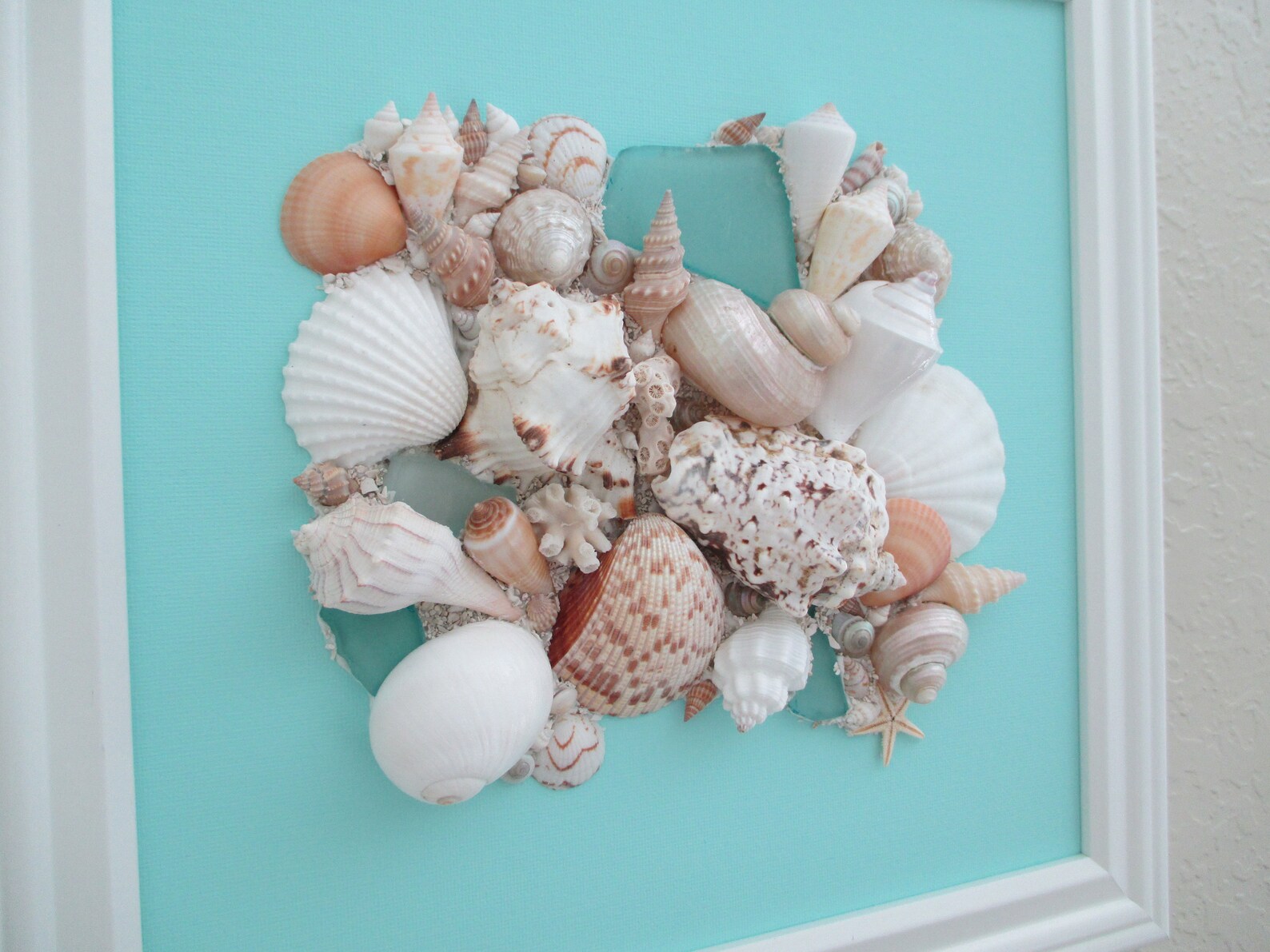 Framed Seashell Collage White and Tan on Aqua - Etsy