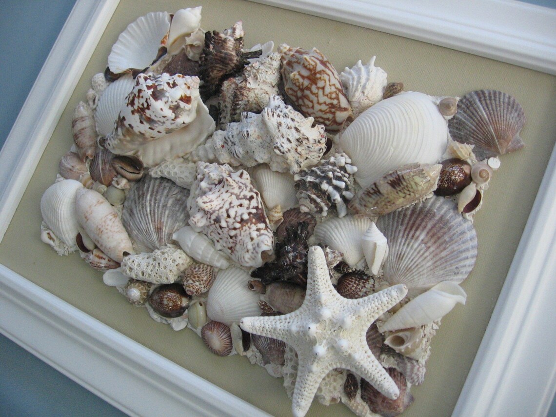 RESERVED FOR NATALIE Original Seashell Collage Tan Canvas | Etsy
