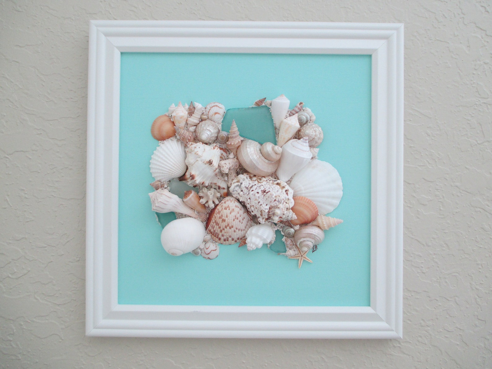 Framed Seashell Collage White and Tan on Aqua - Etsy.de