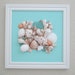 Framed Seashell Collage White and Tan on Aqua - Etsy