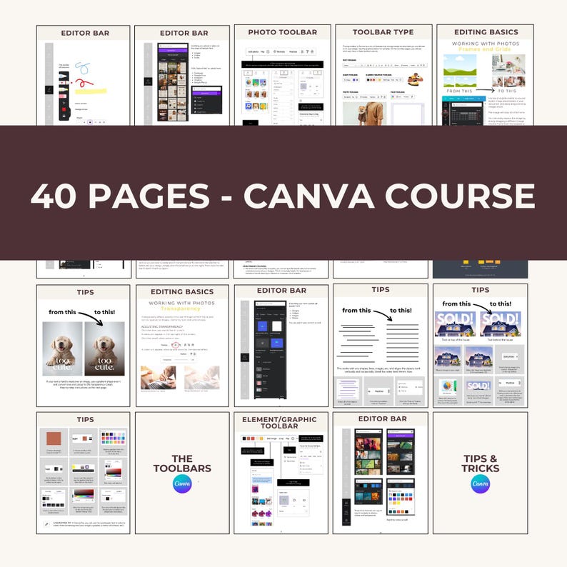 Canva Basics Guide With MRR/PLR – Beginner-friendly Ebook to Learn ...