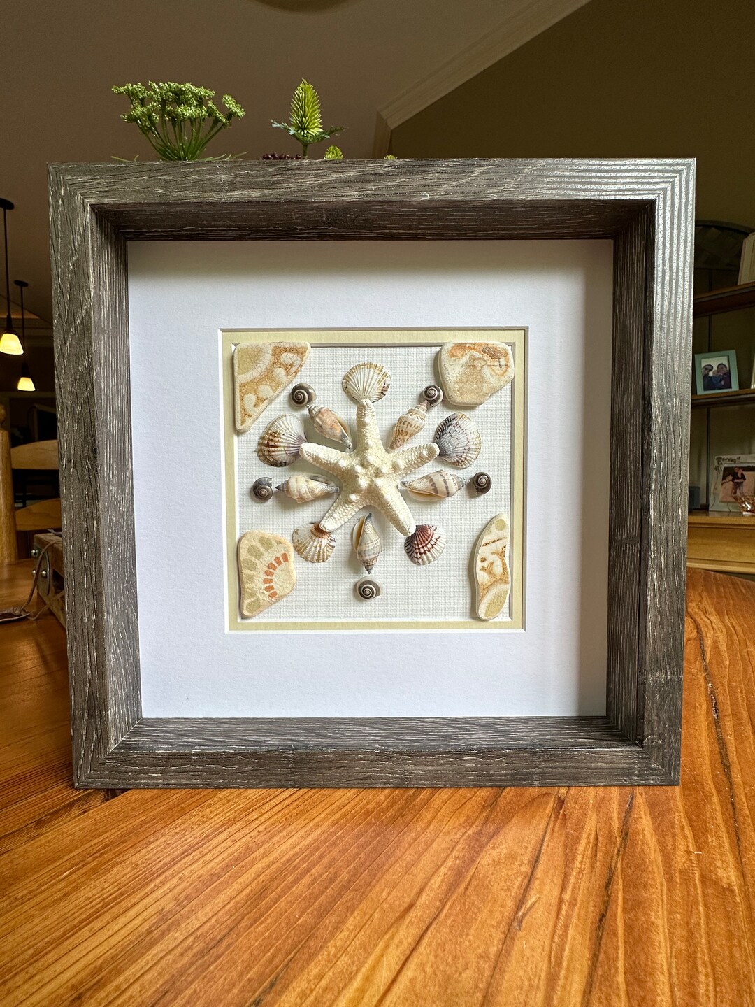 Denise Ward Creates Sea/ocean Shadow Boxes, Real Sea Glass, Genuine ...