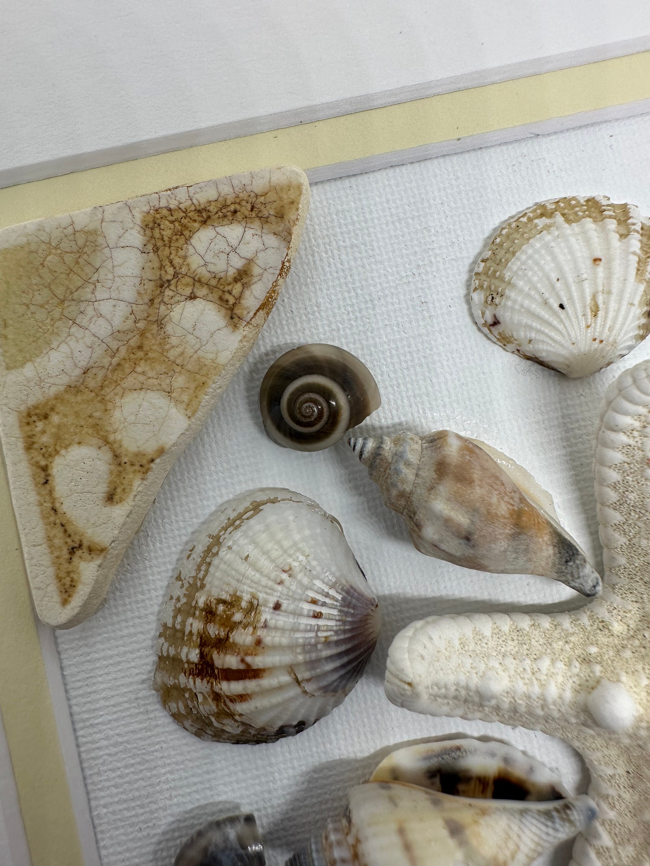 Denise Ward Creates - Sea/ocean Shadow Boxes, Real Sea Glass, Genuine ...