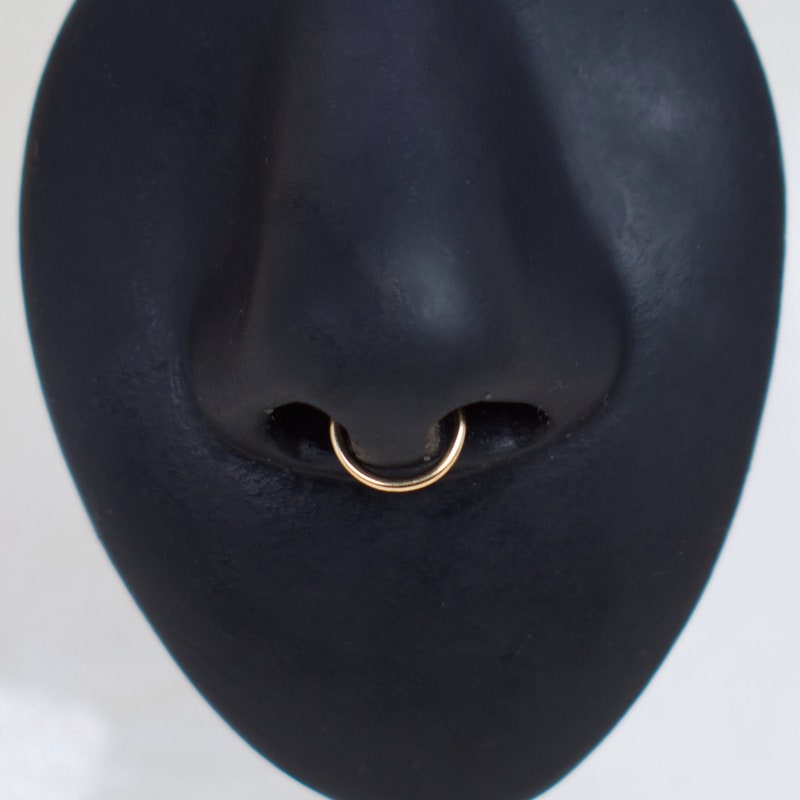 Fake Nose Ring - Etsy