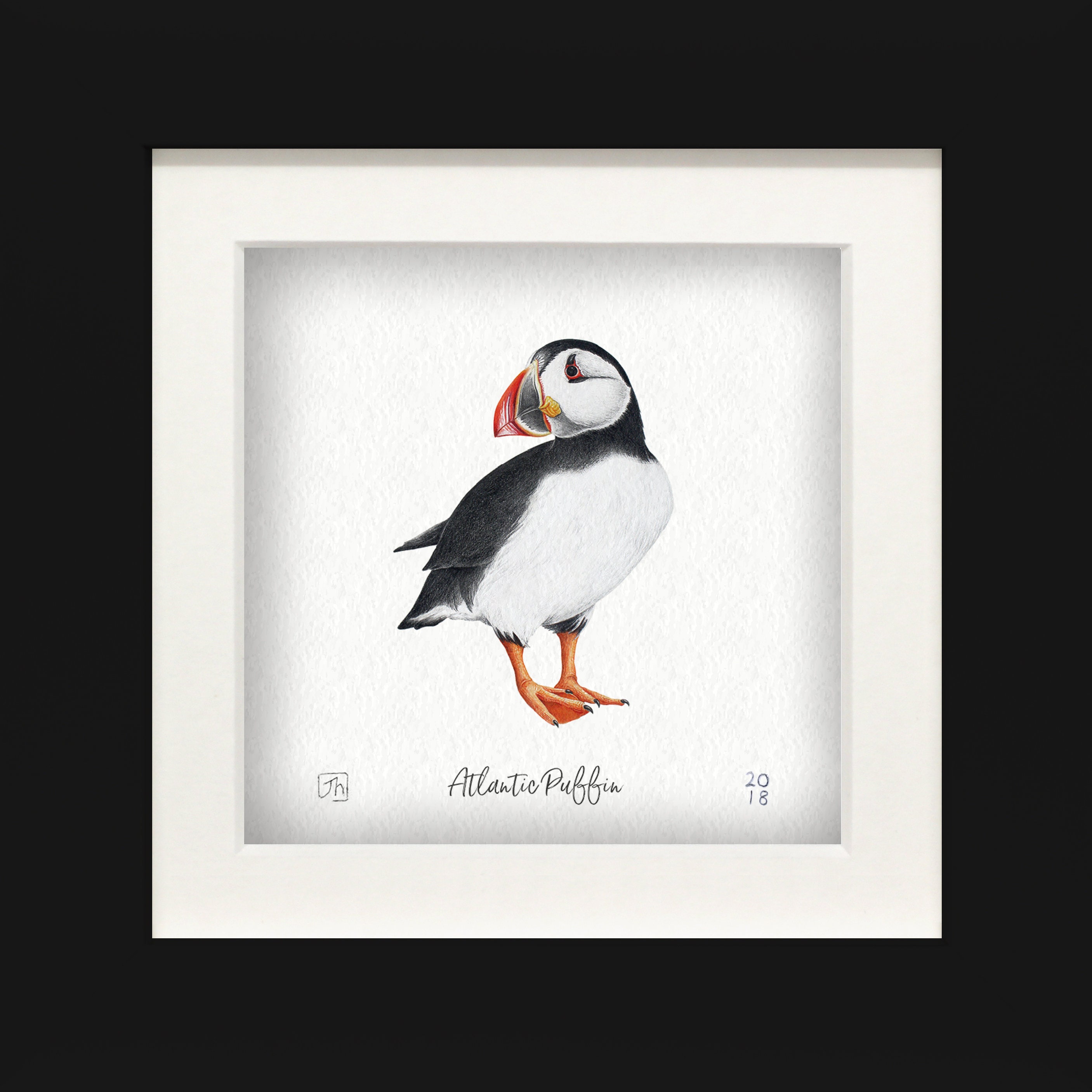 Miniature Range Atlantic Puffin Atlantic Puffin Print - Etsy