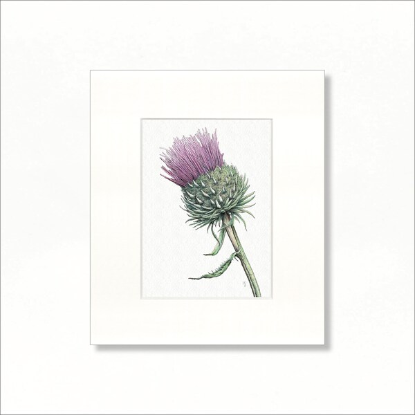Thistle Print - Etsy UK