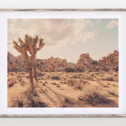 Joshua Tree Sunset Photograph Desert Print Southwest Decor | Etsy