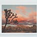 Joshua Tree Sunset Print Framed Desert Art Landscape Photo - Etsy