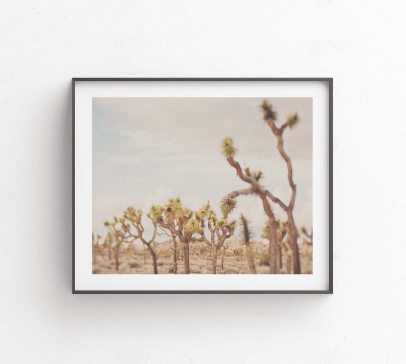 Desert Nursery Print Joshua Tree Photo Landscape - Etsy