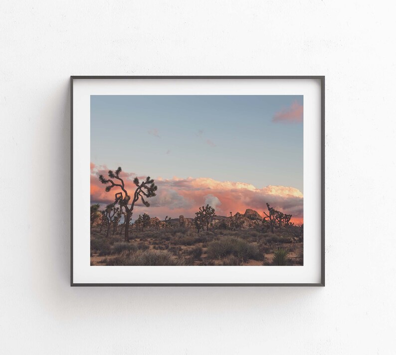 Desert Sunset Photo Joshua Tree Print Southwestern Wall Art - Etsy