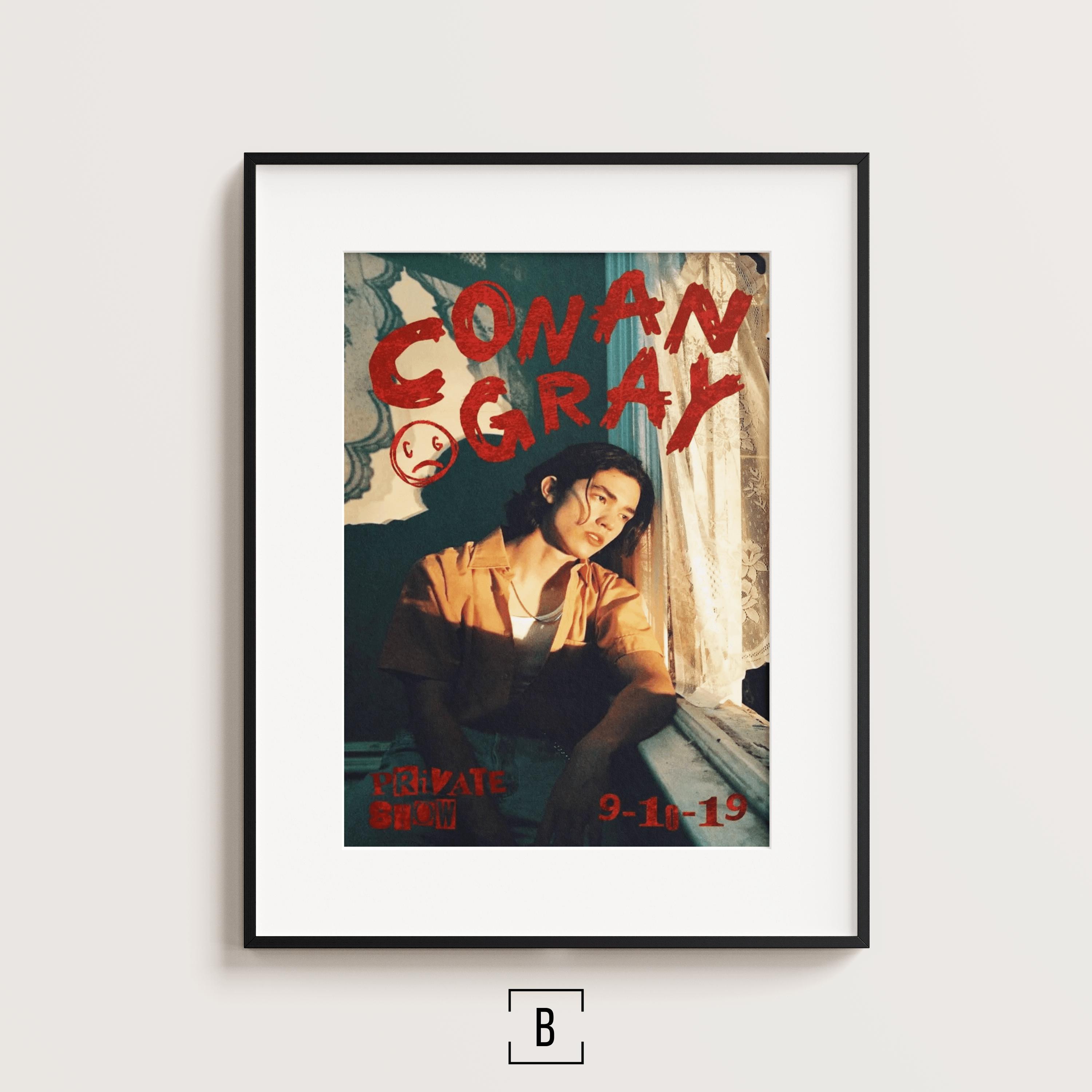 Conan Gray Posters, Conan Gray Print Posters, Conan Gray Merch, Retro ...