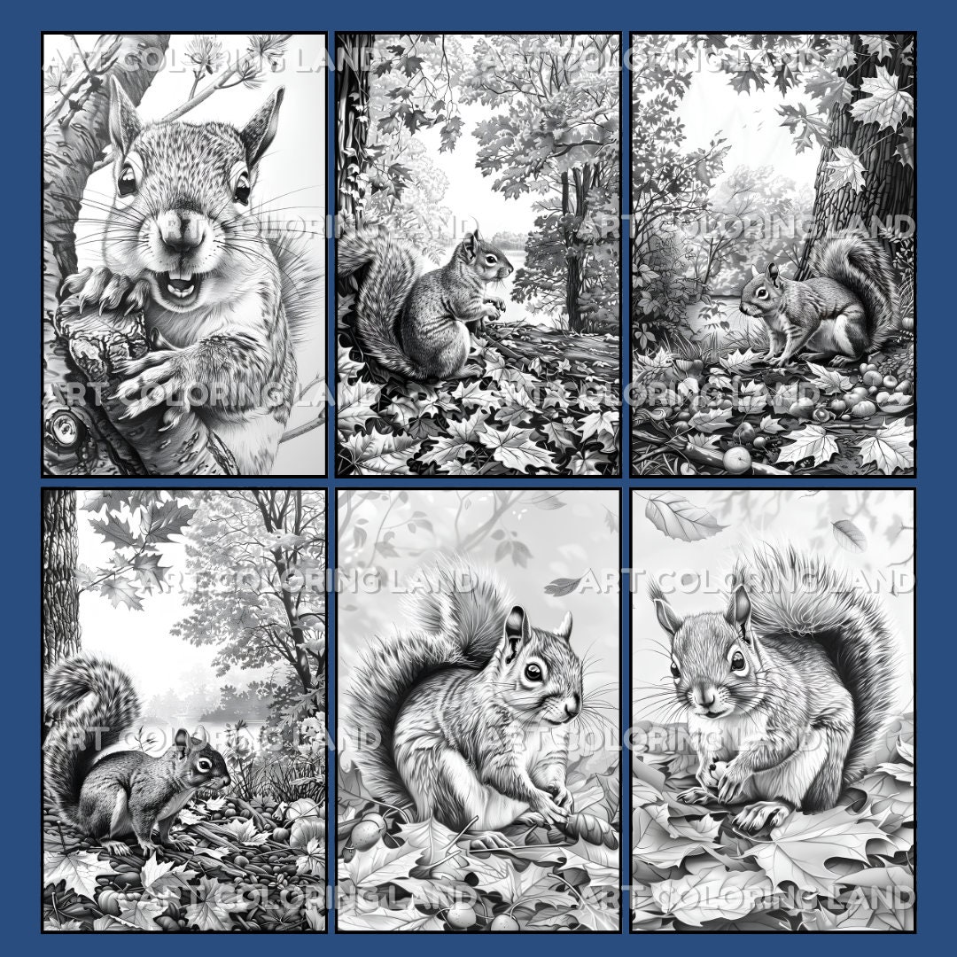 52 Cute Squirrel Grayscale Coloring Pages - Etsy