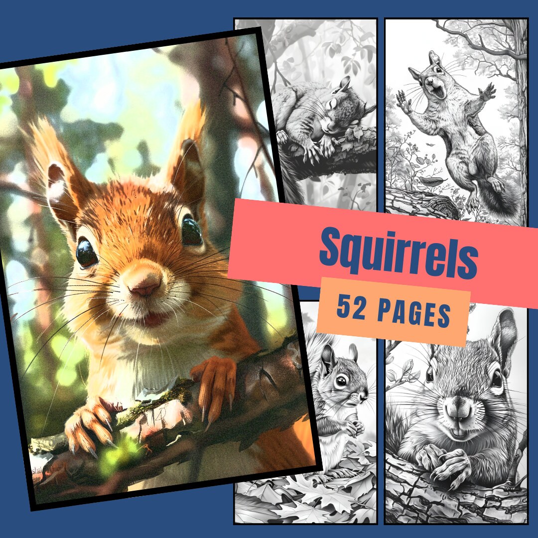 52 Cute Squirrel Grayscale Coloring Pages - Etsy