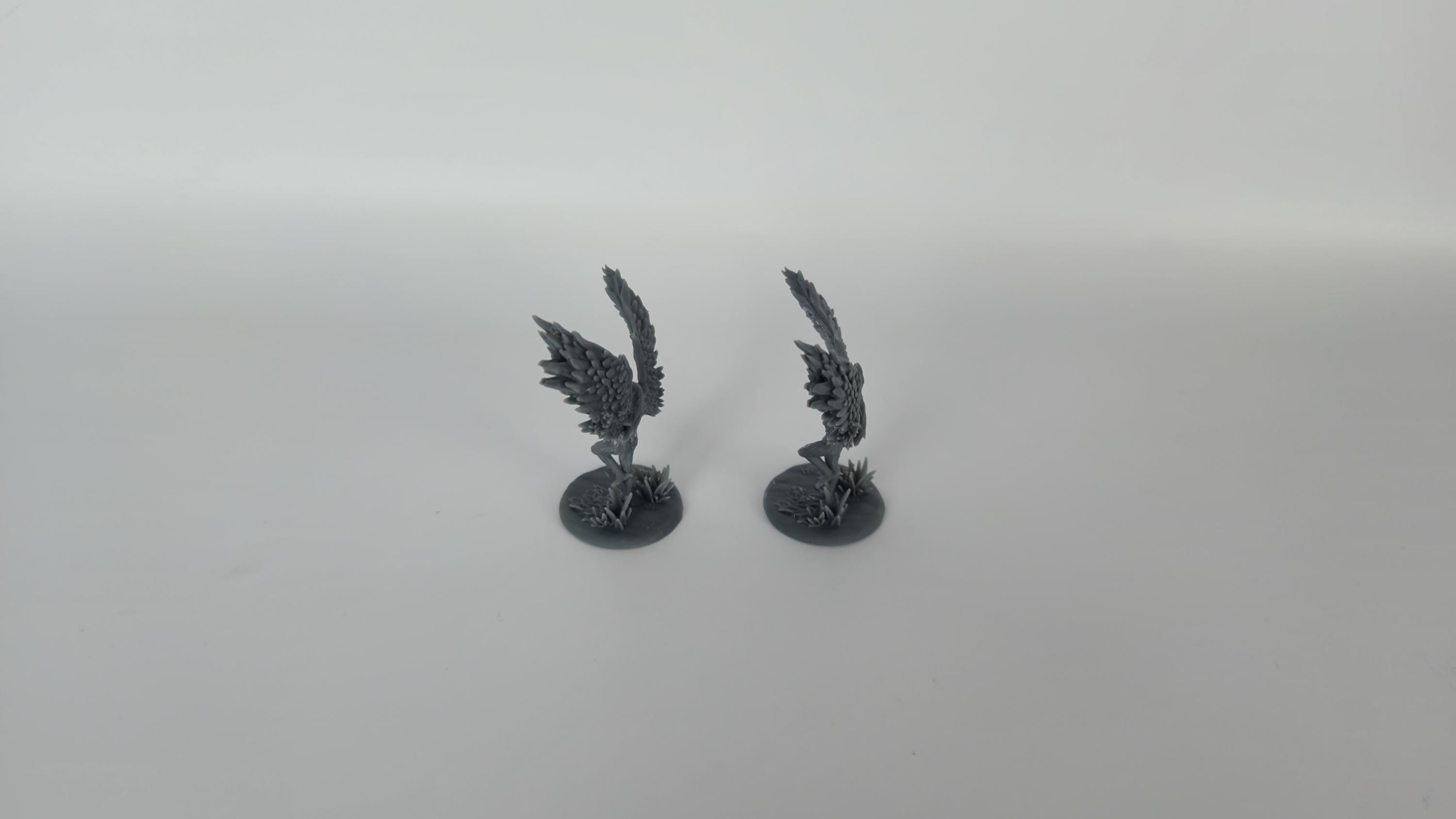 Pair of Highly Detailed Harpy Miniatures 28mm for Tabletop Gaming - Etsy
