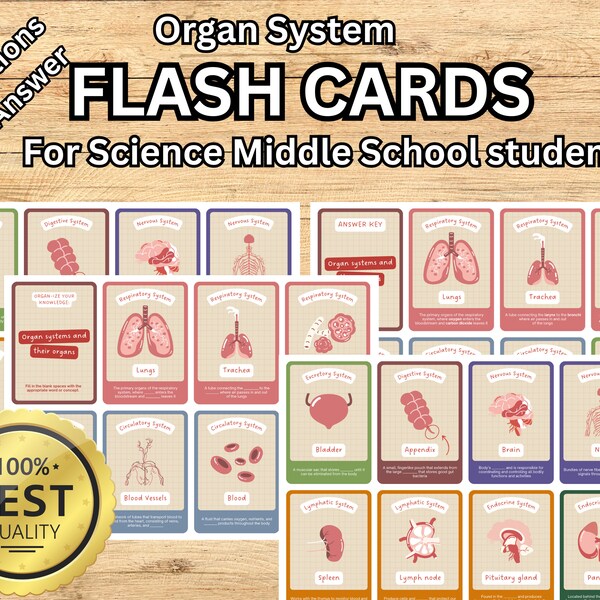 Anatomy Flashcards - Etsy