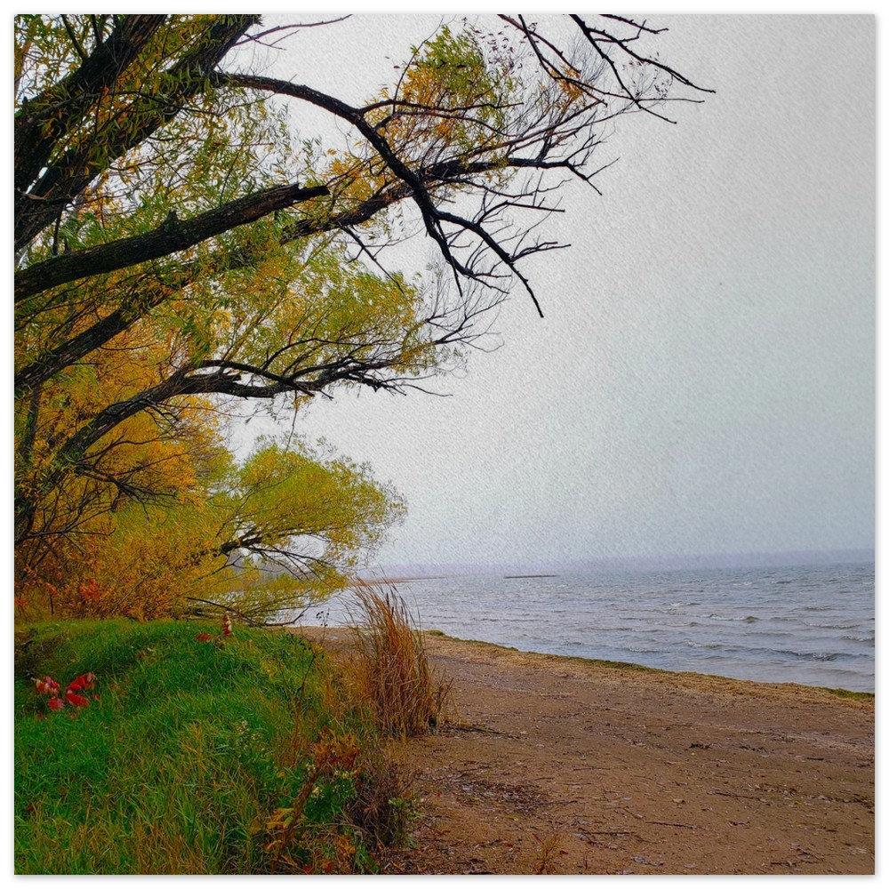 Aluminum Print - Etsy