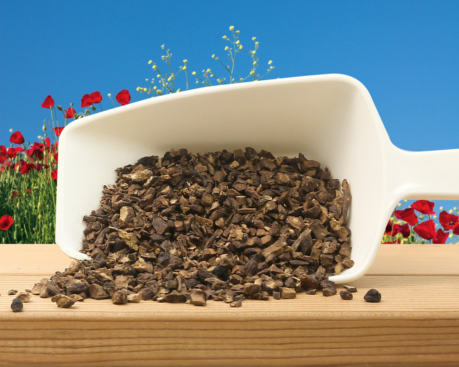 Organic Roasted Dandelion Root Herb Herb Tea Coffee - Etsy