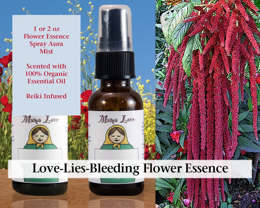 Love-lies-bleeding Flower Essence, Scented Spray Aura Mist for Healing ...