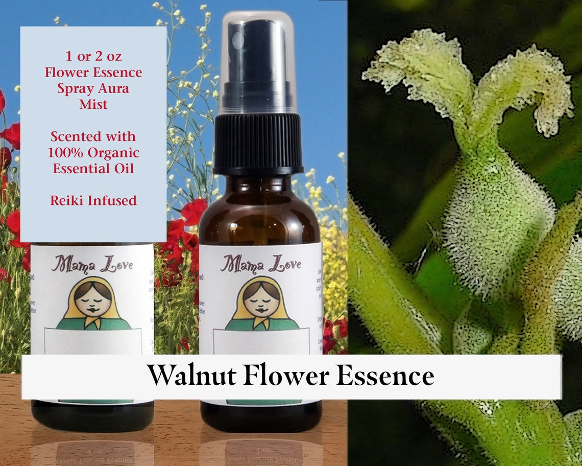Walnut Flower Essence, Scented Spray Aura Mist for Help Making ...