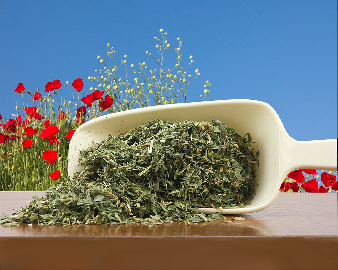 Organic Alfalfa Leaf, Herb, Herb Tea, Culinary Supply, Food Craft ...