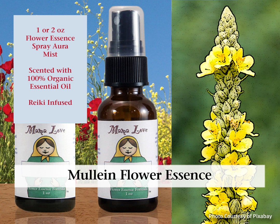 Mullein Flower Essence Scented Spray: Know Your Truth, Hear Your Inner ...