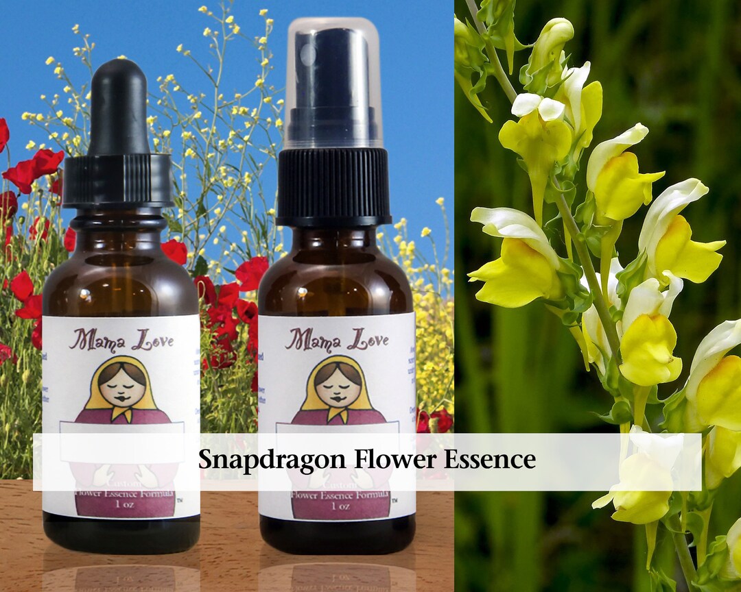 Organic Snapdragon Flower Essence, Dropper or Spray for Lively but ...