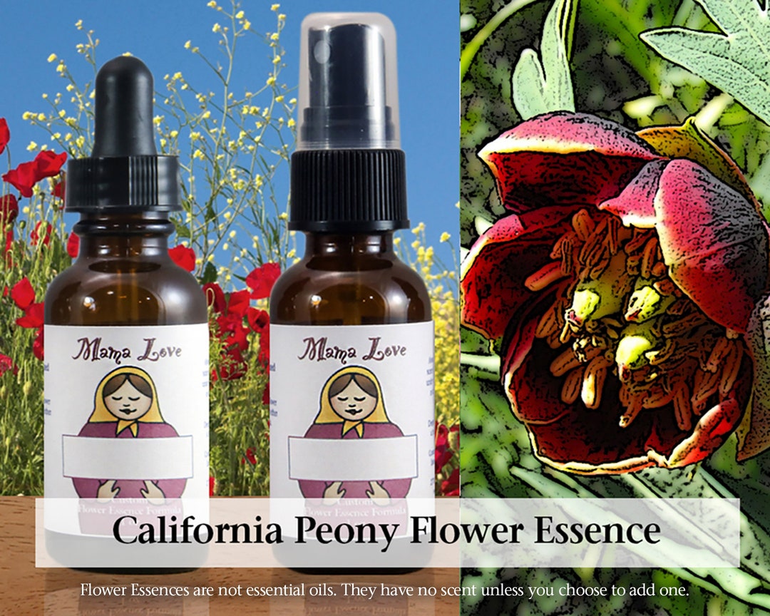 California Peony Flower Essence, Dropper or Unscented Spray for Loving ...