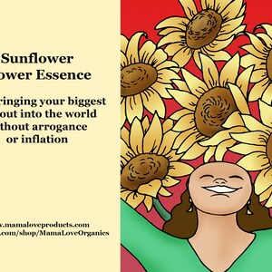 Organic Sunflower Flower Essence, Dropper or Unscented Spray for Self ...