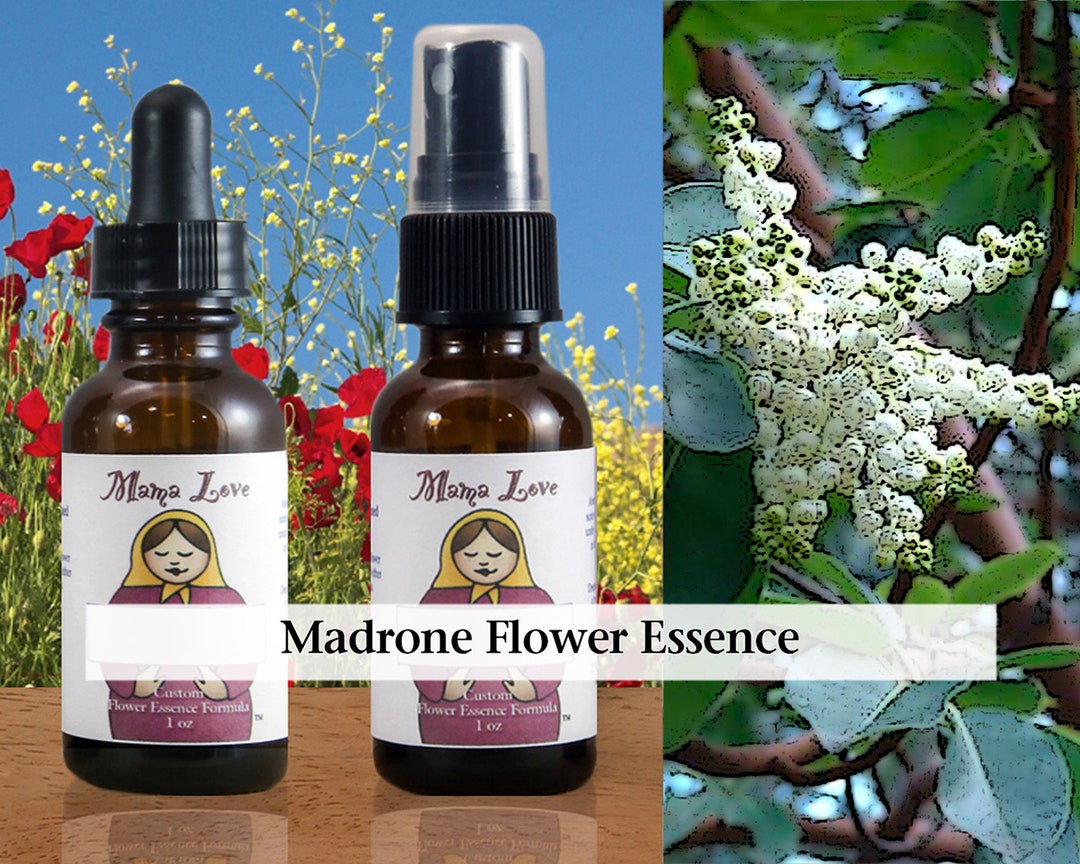 Madrone Flower Essence: Self-love, Body Acceptance (dropper or Spray ...