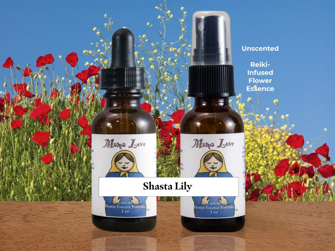 Shasta Lily Flower Essence: Full Expression of Your Female Self ...