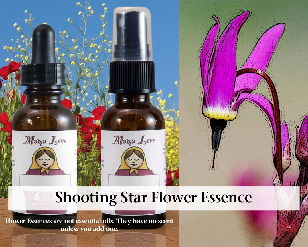 Organic Shooting Star Flower Essence, Dropper or Spray Aura Mist, Self ...