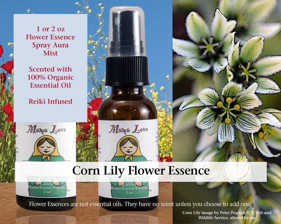 Corn Lily Flower Essence, Scented Spray Aura Mist or Spray Aura Mist for Self-acceptance for ...