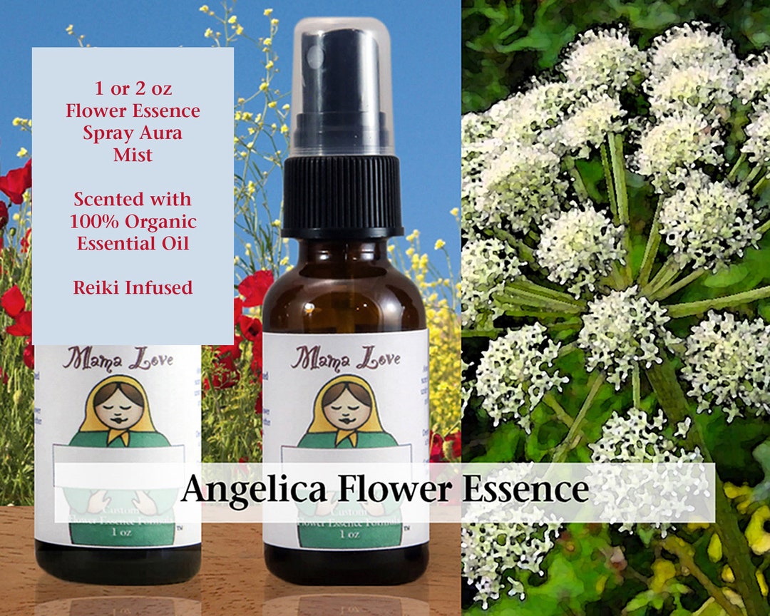 Angelica Flower Essence Scented Spray: Feeling Protected and Guided ...