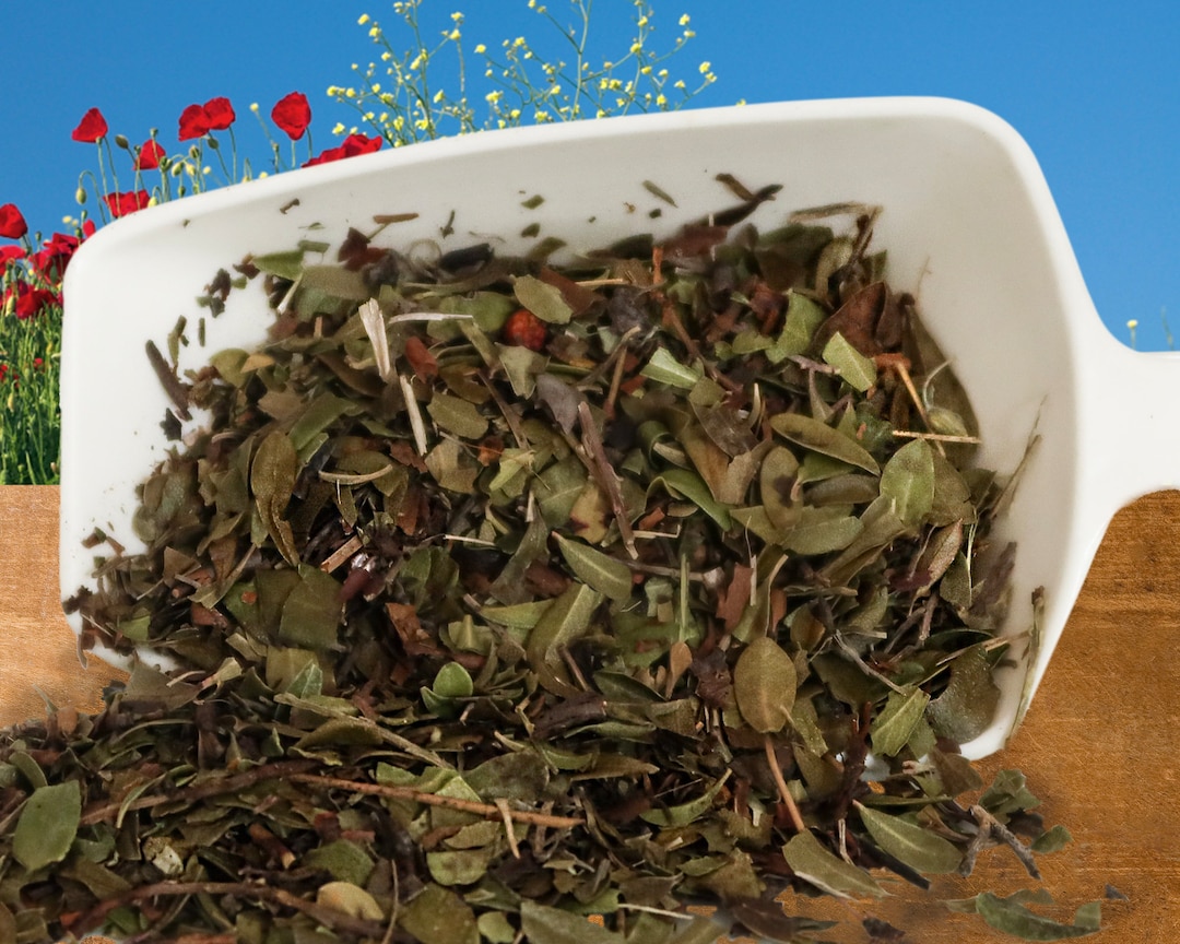 Organic Uva Ursi, Bearberry, Dried Herb, Herb Tea, Culinary Supply ...