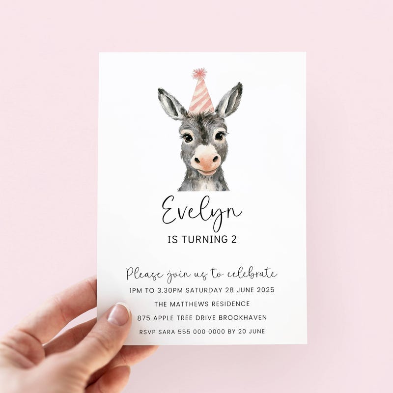 Donkey Party - Etsy Canada