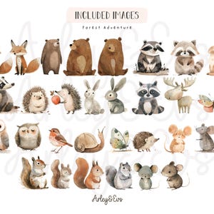 Watercolor Woodland Animals Clipart Bundle: Forest Nursery (PNG) - Etsy