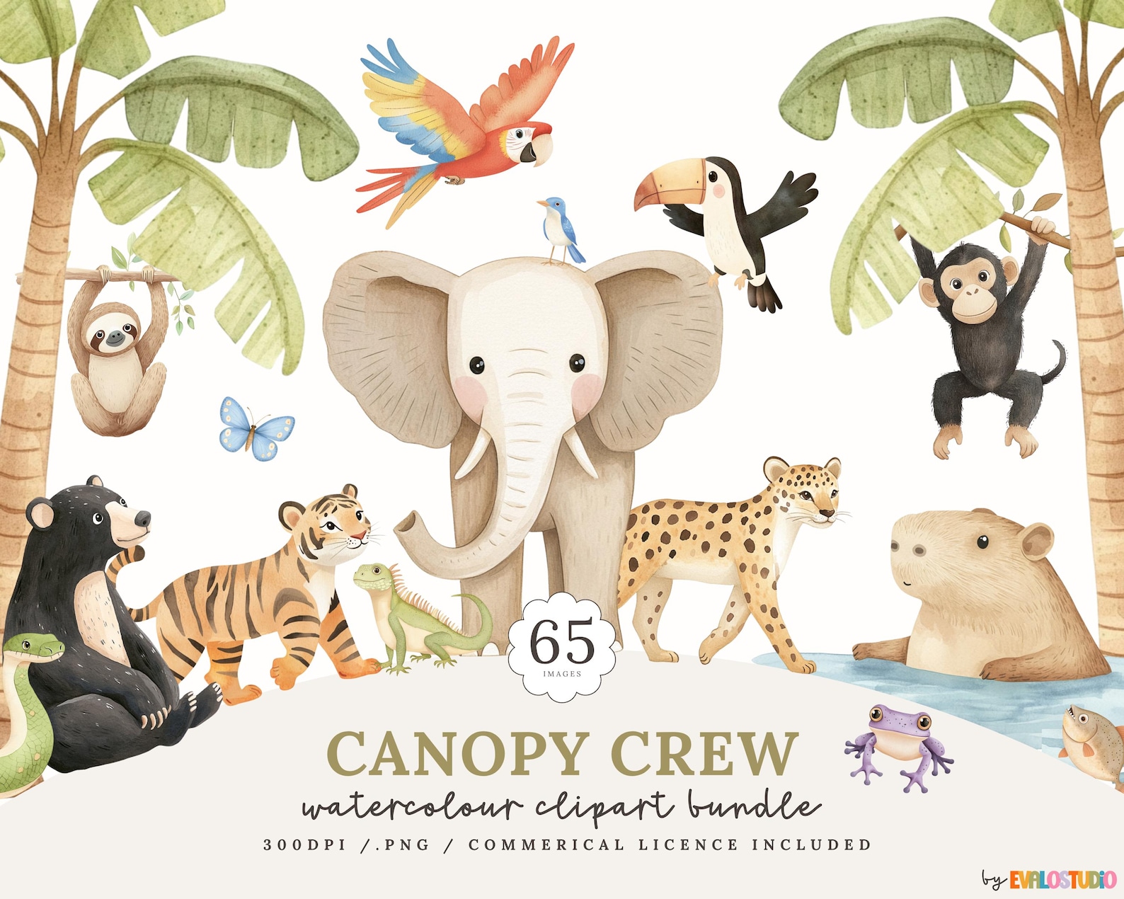 Watercolor Rainforest Animal Clipart: Jungle Safari PNG (commercial ...