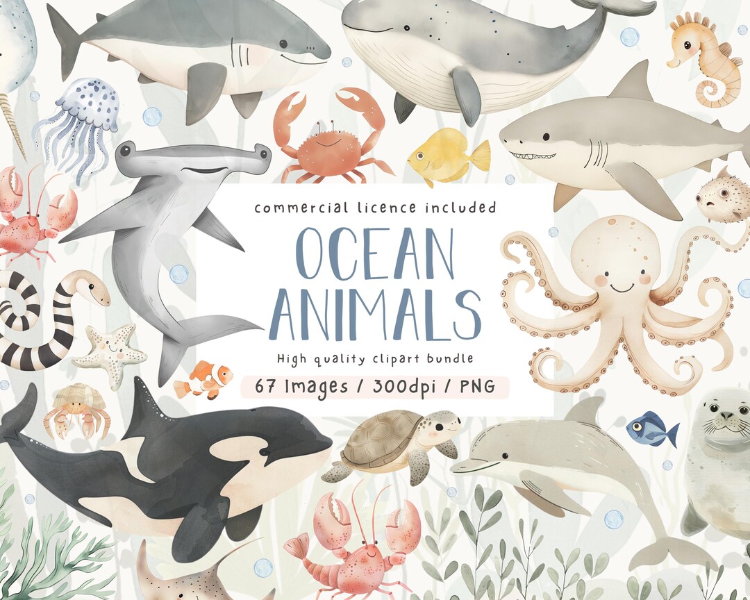 Sea Life Clipart Bundle, Watercolour Under the Sea Clipart, Commercial ...
