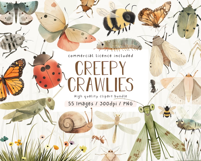 Watercolor Bug Clipart Set: Insect Illustrations Bundle (PNG) - Etsy