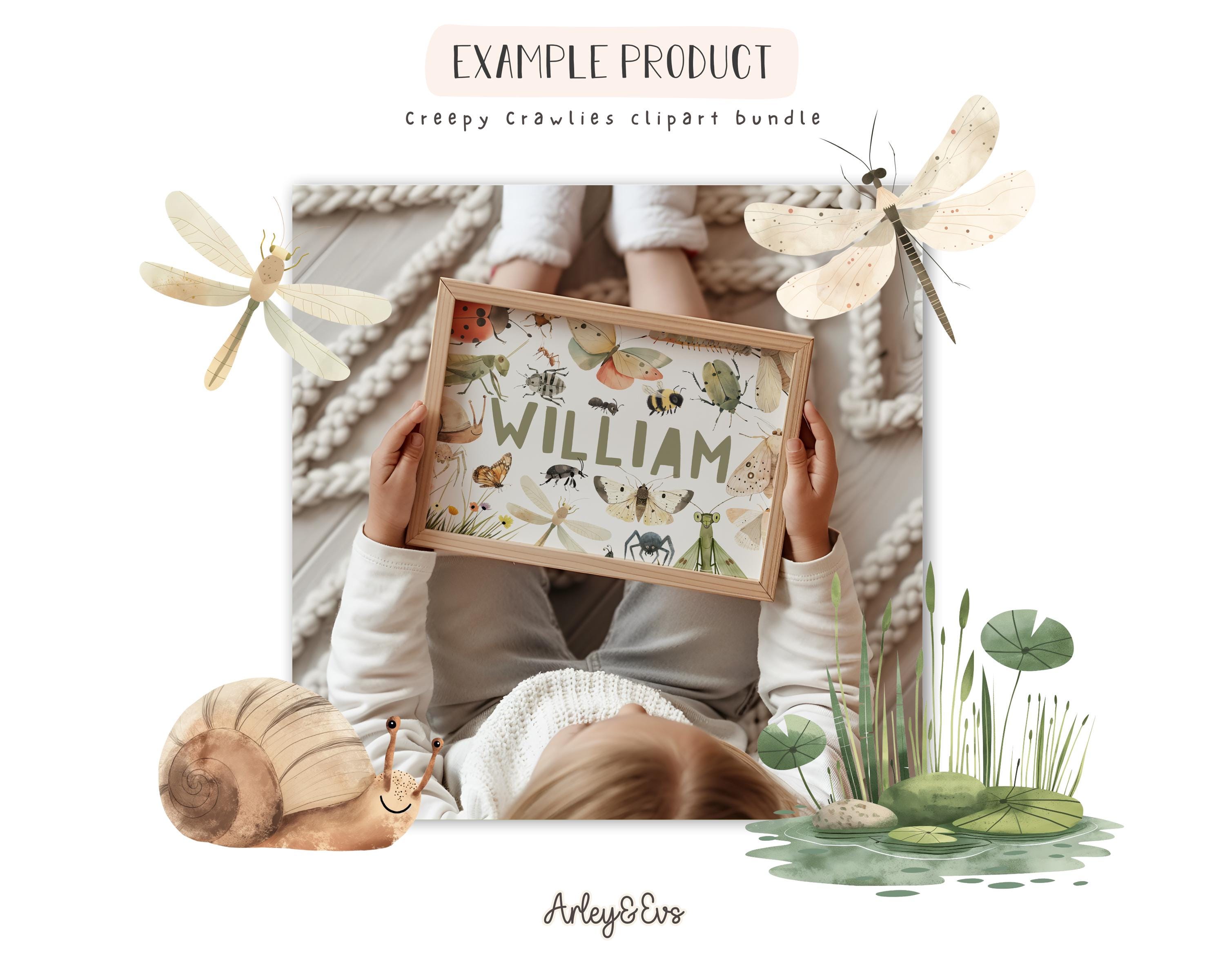 Watercolor Bug Clipart Set: Insect Illustrations Bundle (PNG) - Etsy