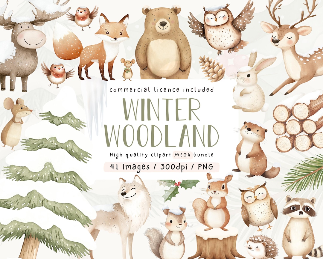 Cute Winter Woodland Animals Clipart, Watercolour Clipart, Clipart ...