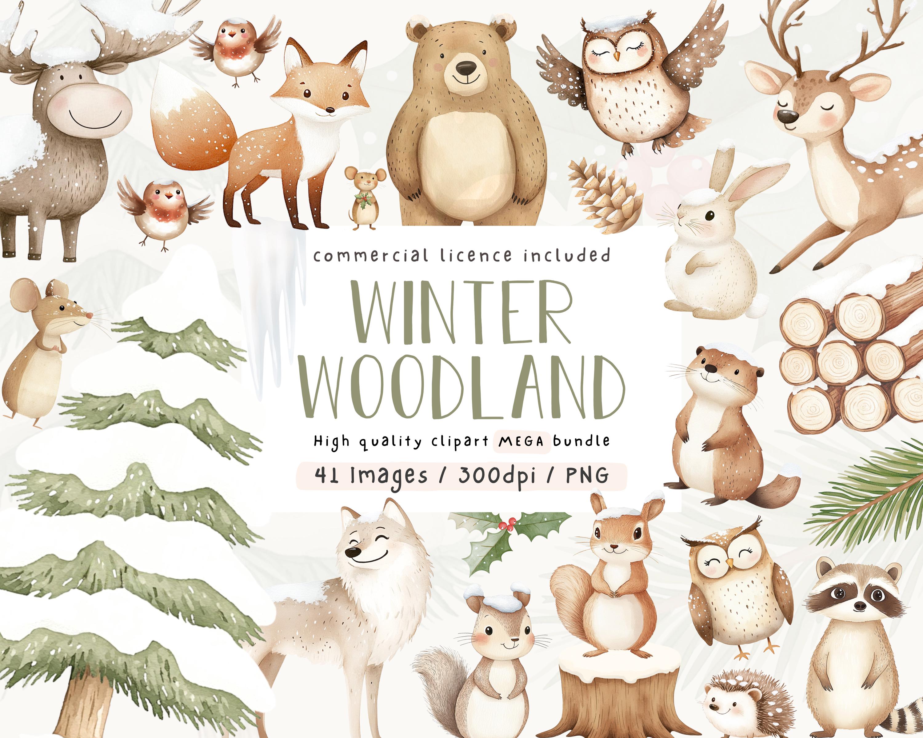 Cute Winter Woodland Animals Clipart, Watercolour Clipart, Clipart ...
